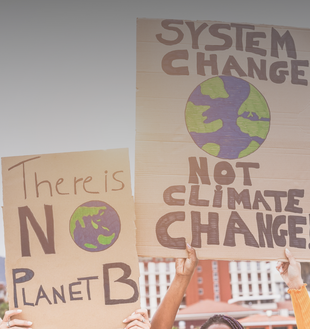 Impact Capitalism in a Nutshell - AENU